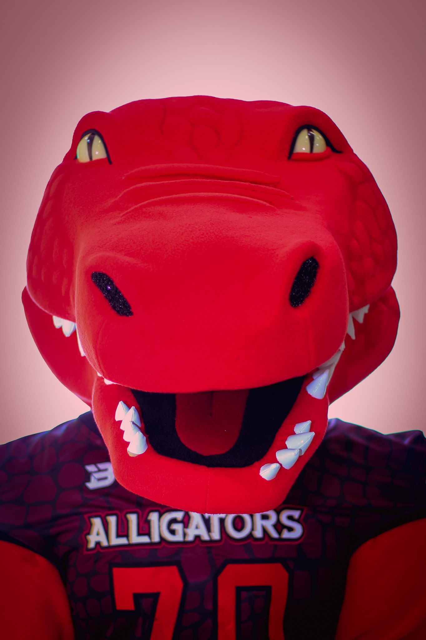 Abteilungsstruktur - Leonberg Alligators